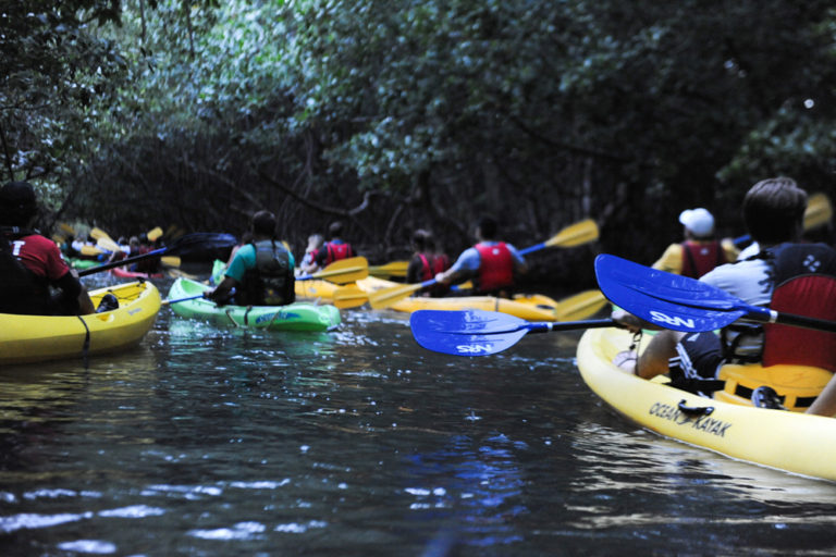 Eco Kayaking Ocean Adventure – Innovation Tour