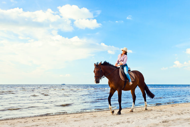Horseback Riding on the Beach – Innovation Tour