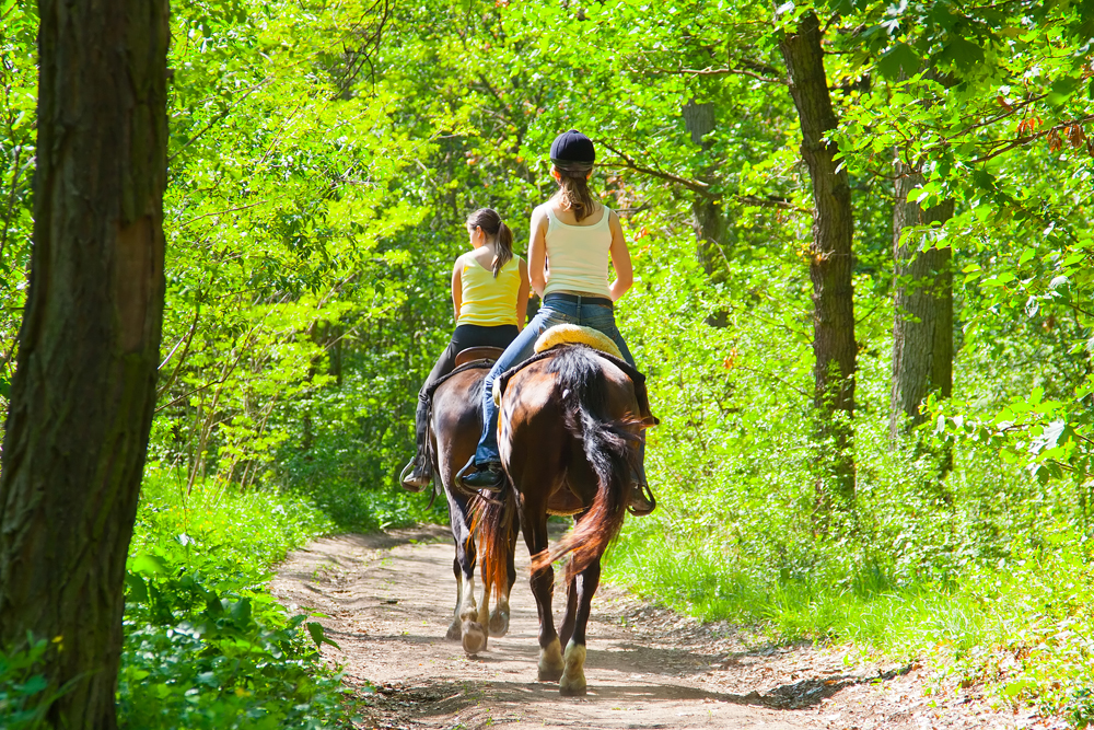 Horseback Riding – Innovation Tour